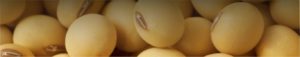 Home - Specialty U.S. Soy Database