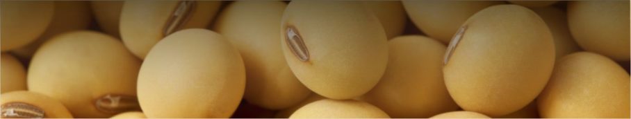 Home - Specialty U.S. Soy Database