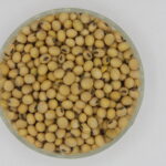Home - Specialty U.S. Soy Database