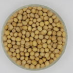 Home - Specialty U.S. Soy Database