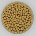 Home - Specialty U.S. Soy Database